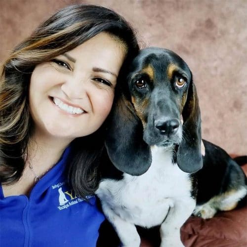 Canine/Dog Case Studies from Professional Trainers & Breeders