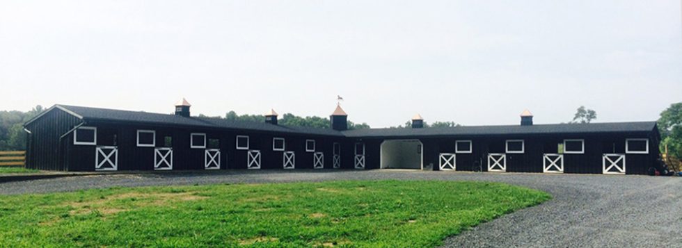 The Best Horse Breeding Barn/Farm Layouts and Designs