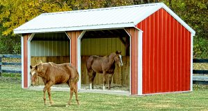 Run-In Sheds | Horse Run-In Sheds | Horse Shelters - Run-In Sheds ...