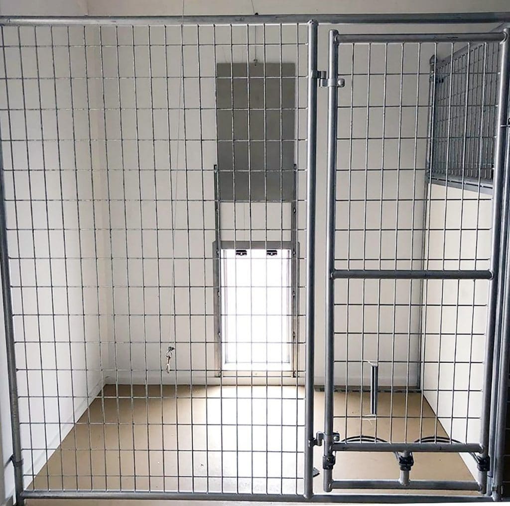Better Kennel Time for Shelter Dogs: Design & Training Tips | Horizon ...