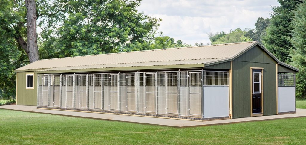 Building a Durable Commercial Dog Kennel: 5 Must-Know Tips | Horizon ...