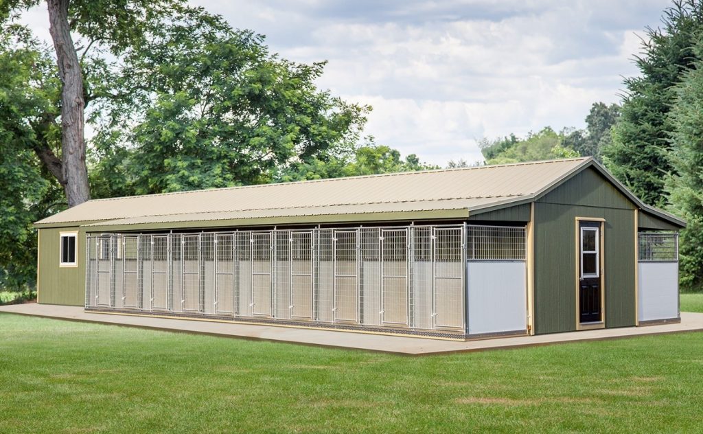 Better Kennel Time for Shelter Dogs: Design & Training Tips | Horizon ...