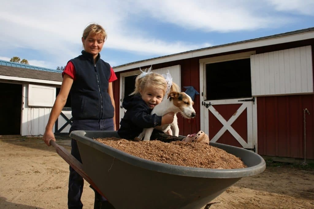 How to Quickly Do Barn Chores | Horizon Structures