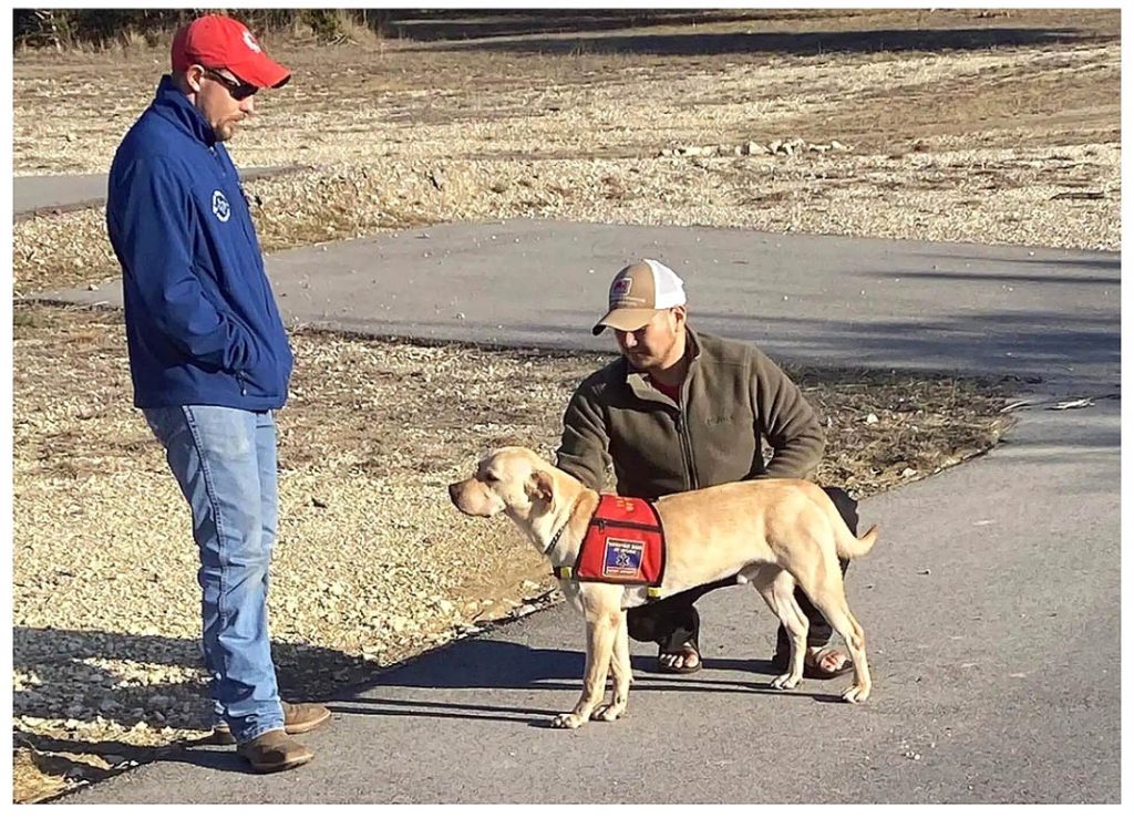 Dog Kennel Case Studies: Insights from Trainers & Breeders | Horizon Structures