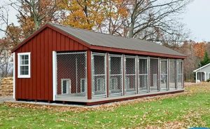 Dog Houses with Runs | Horizon Structures Dog Kennels
