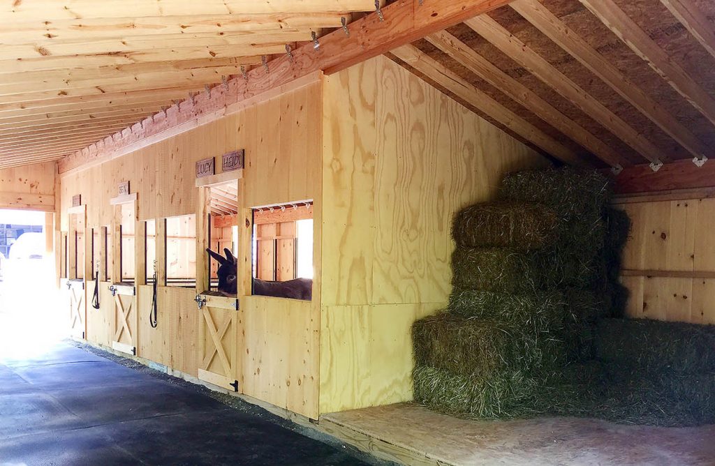 Miniature Horse Barns | Customizable Small Stall Barns | Horizon Structures
