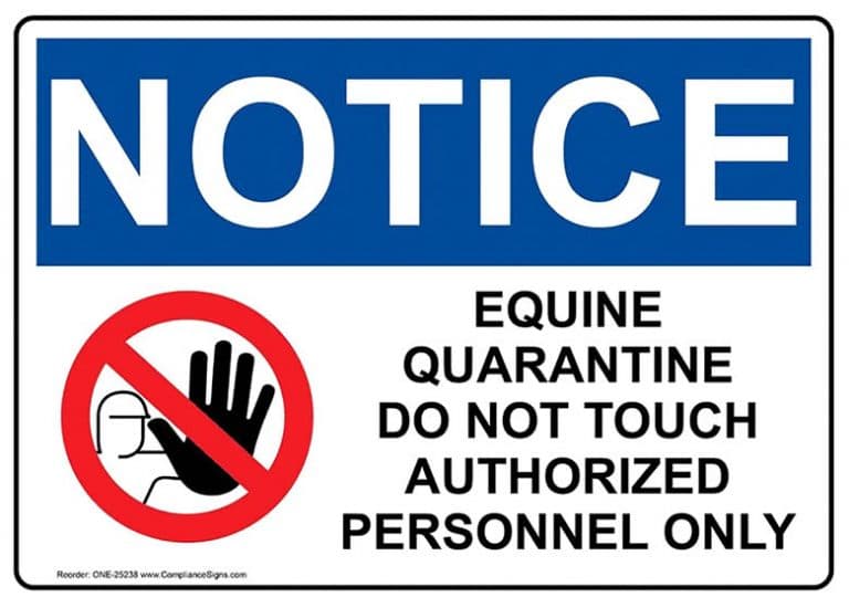 How to Quarantine Horses | Quarantine Horse Barns | Horizon Structures