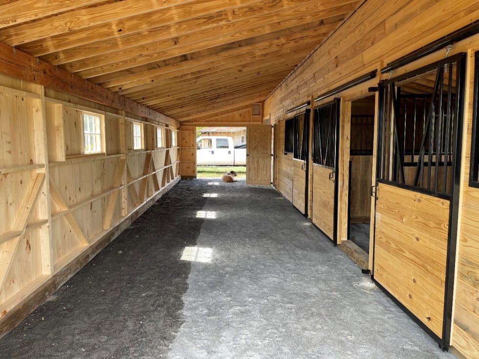 The Advantages of a Horse Stable with a Double Wide Layout