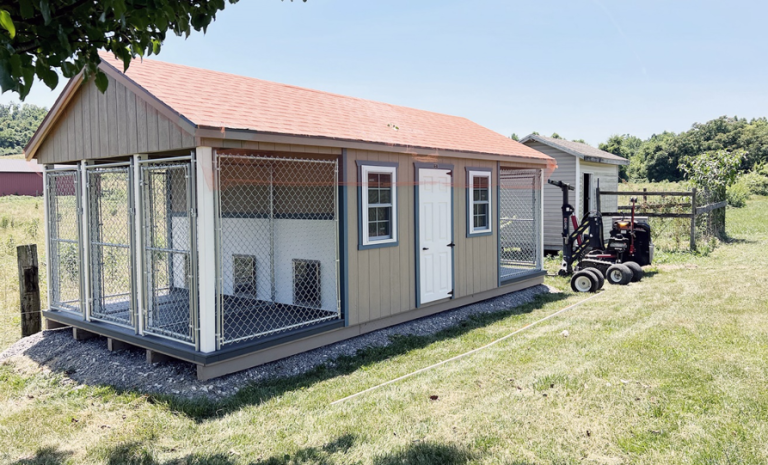 Sara Carson Dog Trainer – Super Collies & AGT Fame