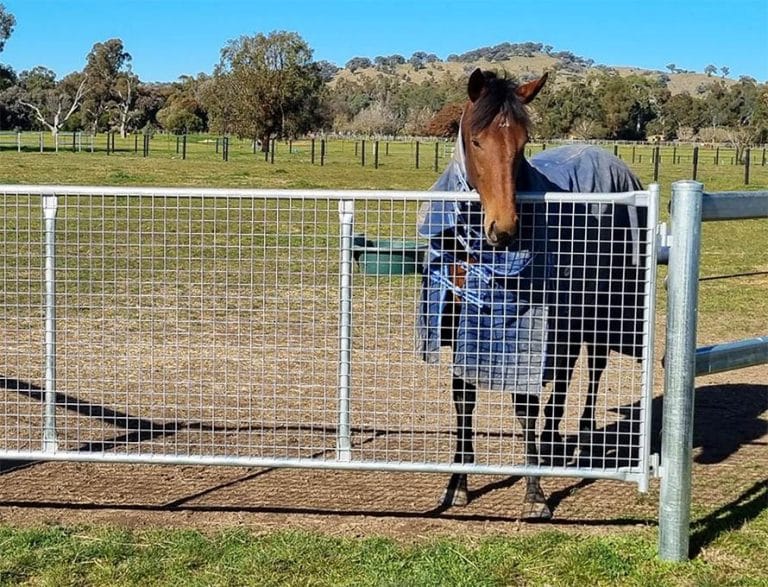 Safety & Security Size Guide for Barn Doors & Farm Entrances