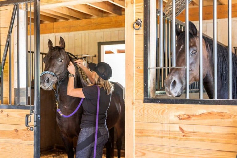 Safety & Security Size Guide for Barn Doors & Farm Entrances