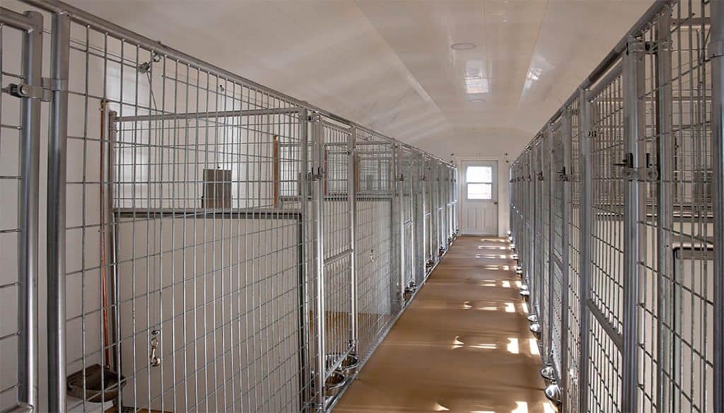Convenient Canine Comfort on a Roll – Kennels for Professionals ...