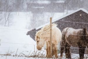 Hurricane Proof Barns - Weather Protection Design Tips