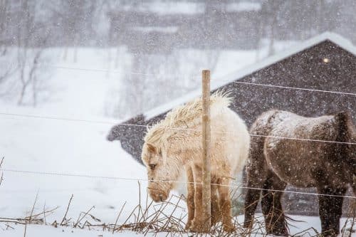 Hurricane Proof Barns - Weather Protection Design Tips