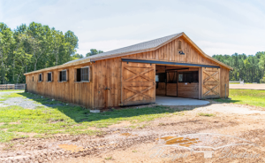 Center Aisle Horse Barns | Prefab Barns for Sale | Horizon Structures