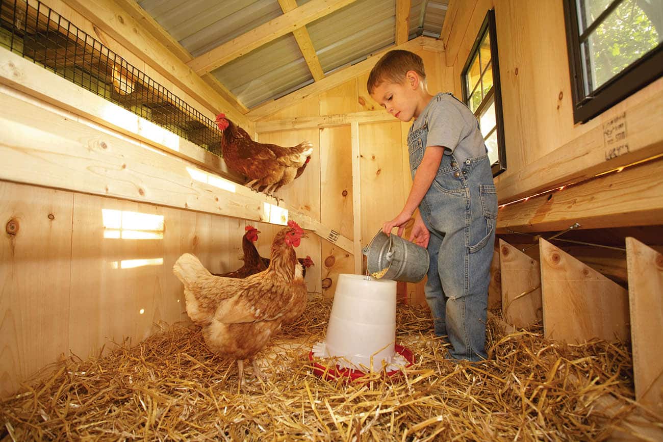 Amish Chicken Coops | Premade Chicken Houses for Sale | Horizon Structures