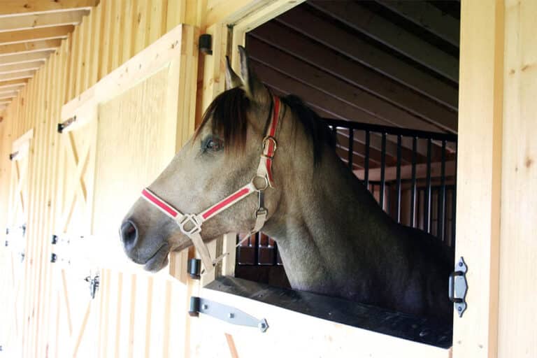 High Profile Horse Barns Offer The Height of Practicality | Horizon ...