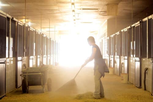 High Profile Horse Barns Offer The Height of Practicality | Horizon ...