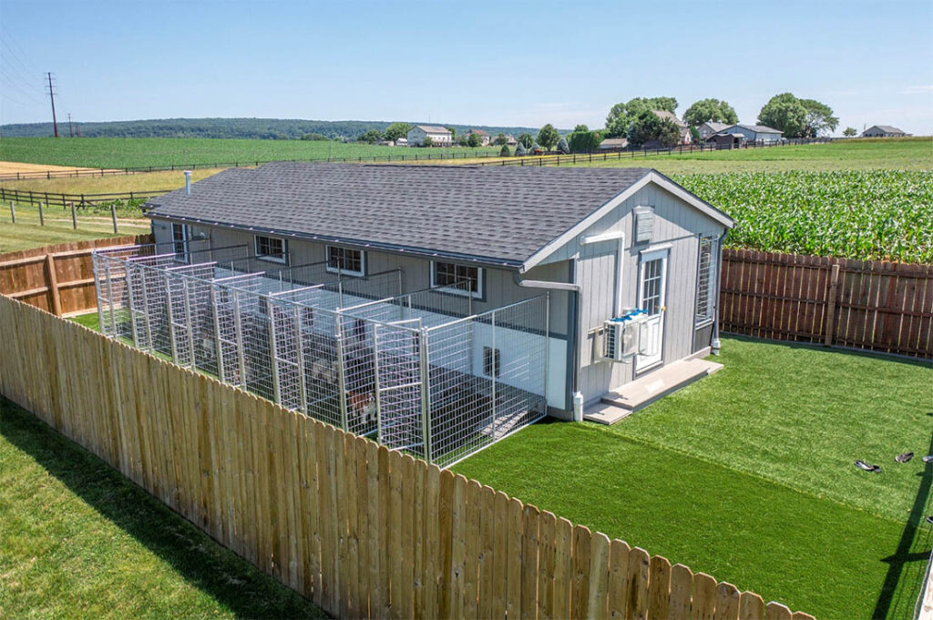 Kennel Boarding Business Basics | How to Start a Kennel Business