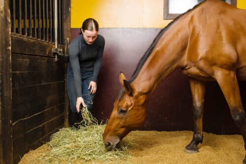 Design Multi-Animal Barn - Multi-Use Barn | Horizon Structures