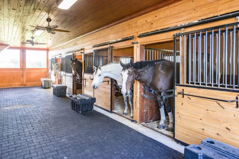 Design Multi-Animal Barn - Multi-Use Barn | Horizon Structures